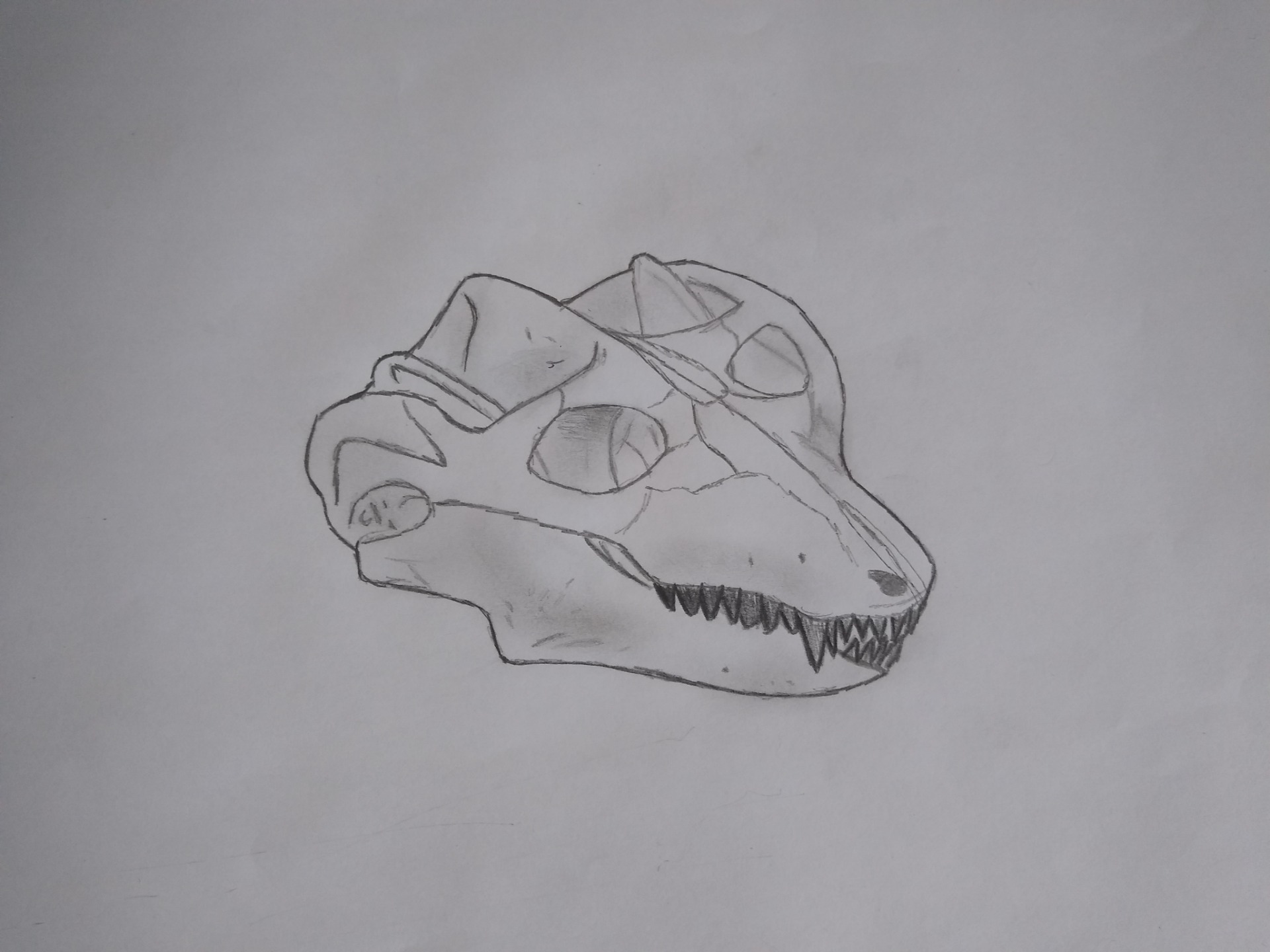 paleontologia-educafossil-na-sala-de-aula